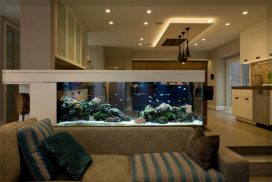 Aquarium-Fish-Plants.com - Your fishkeeper guide!